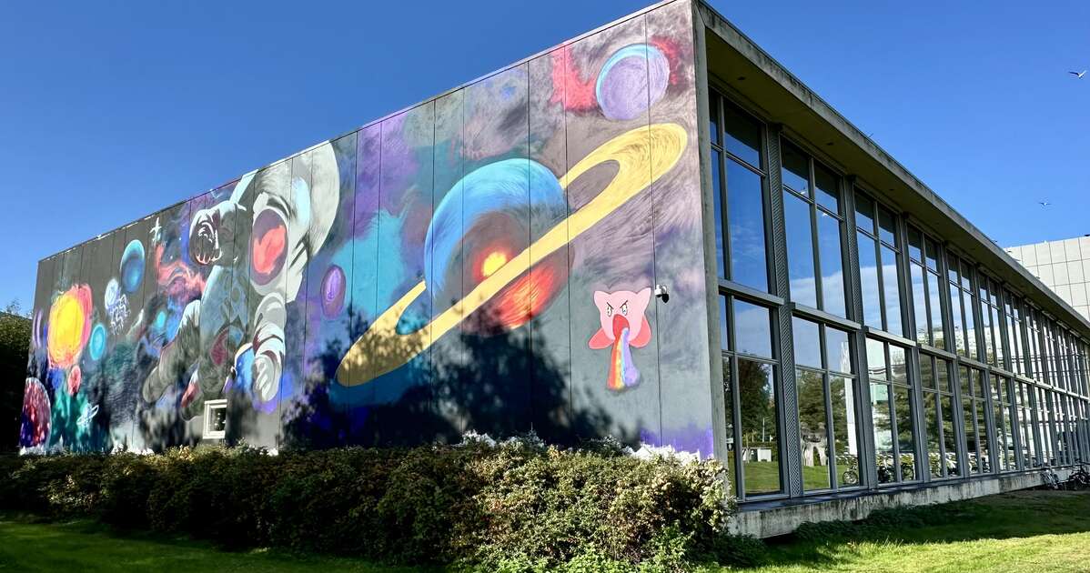 Een opvallend kunstwerk rijker dankzij leerlingen en kunstenaars